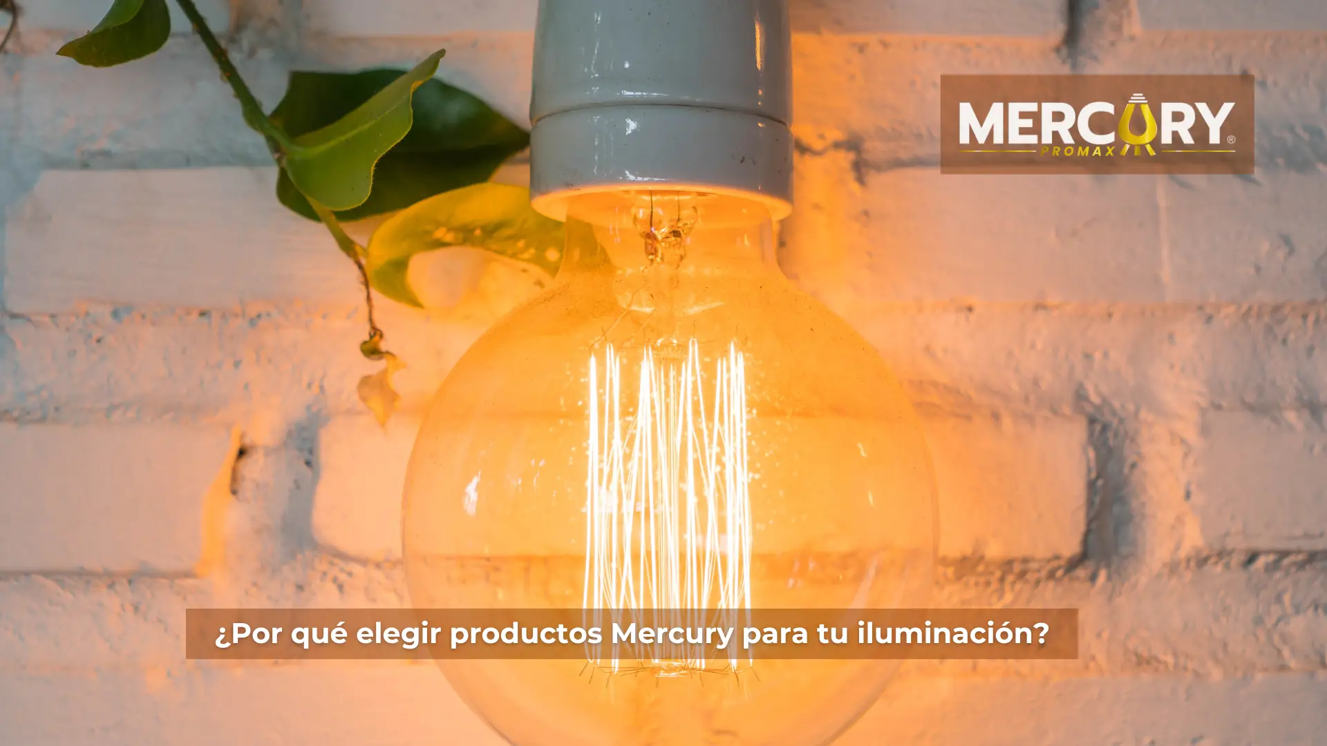 Ahorro y uso de la energía eléctrica con LED | Mercury