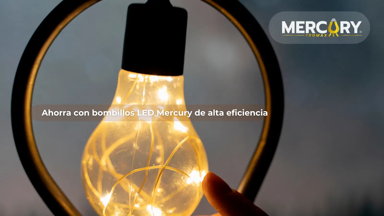 Expertos en soluciones de iluminación | Mercury