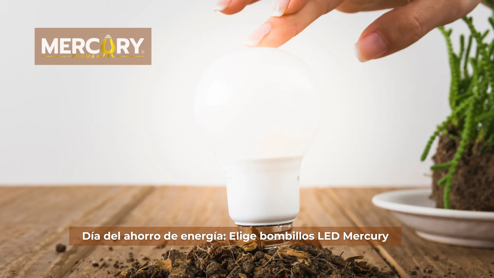 Guía: Instalación de paneles y reflectores LED - Mercury Latam